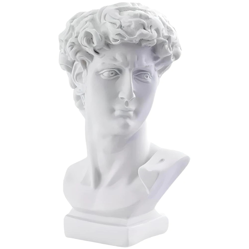 The David Vase - Aesthetic Decor | Tapestry Girls