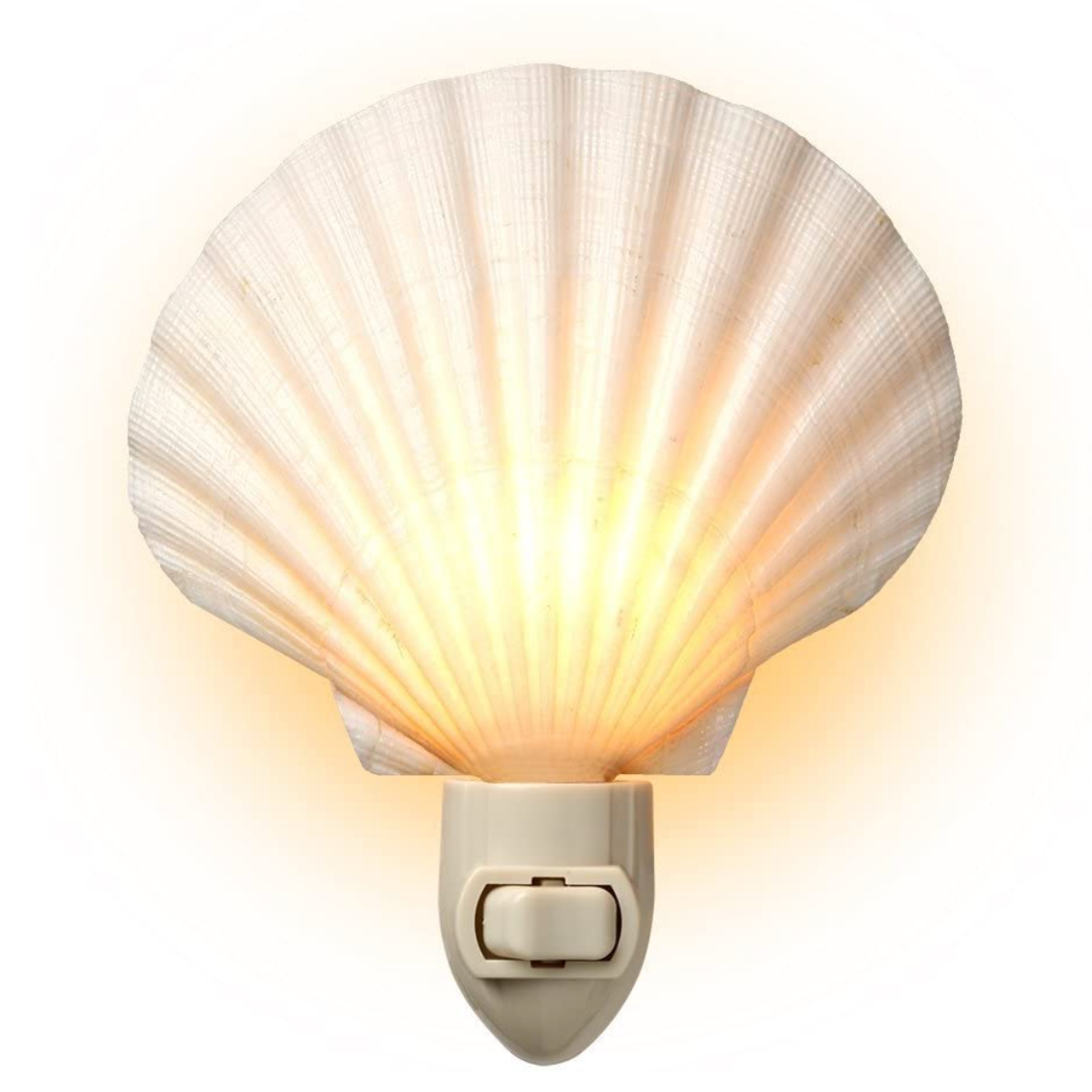 Seashell Night Light - Aesthetic Decor | Tapestry Girls